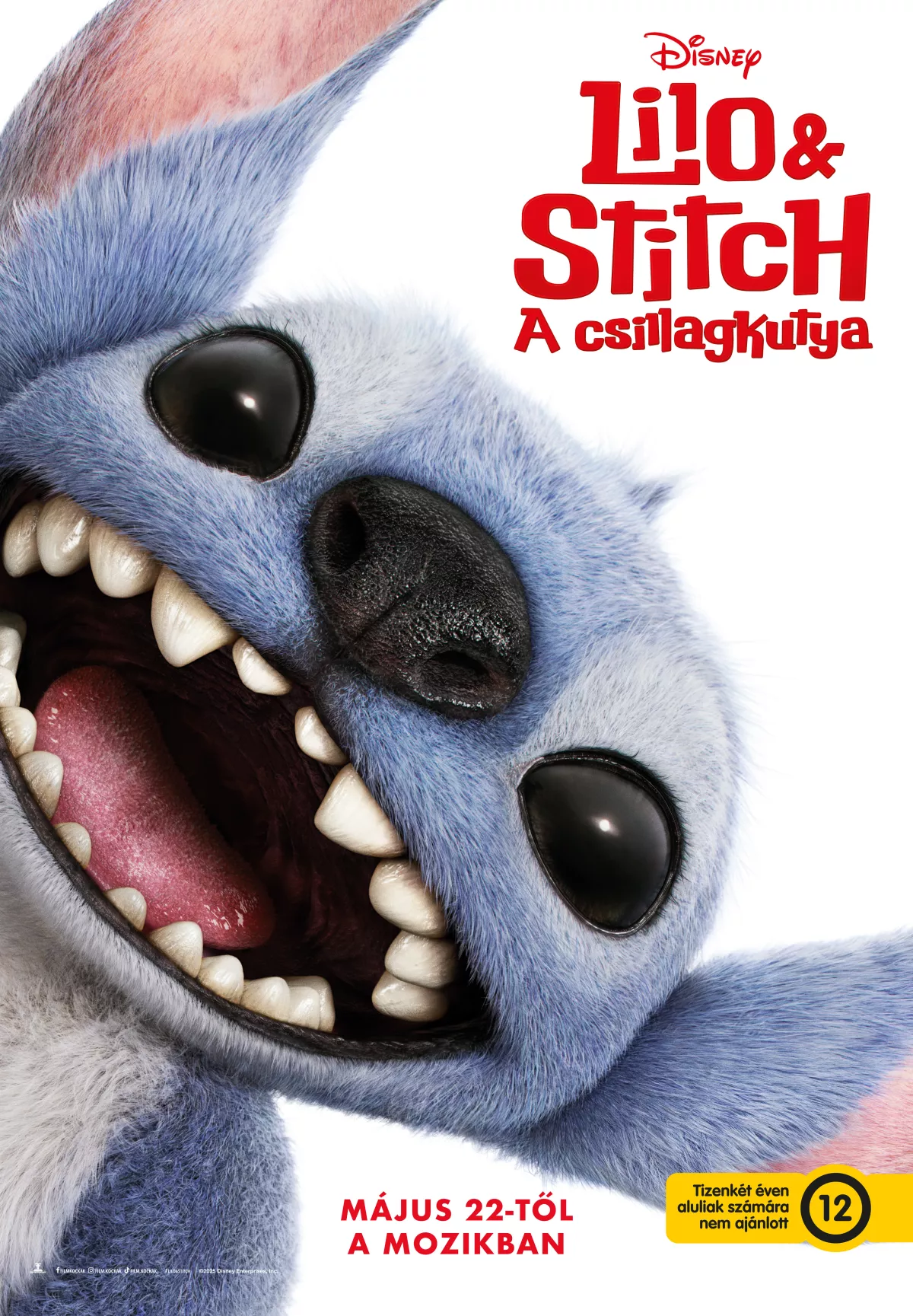 Film: Lilo és Stitch - A csillagkutya | MűvészMozi.hu