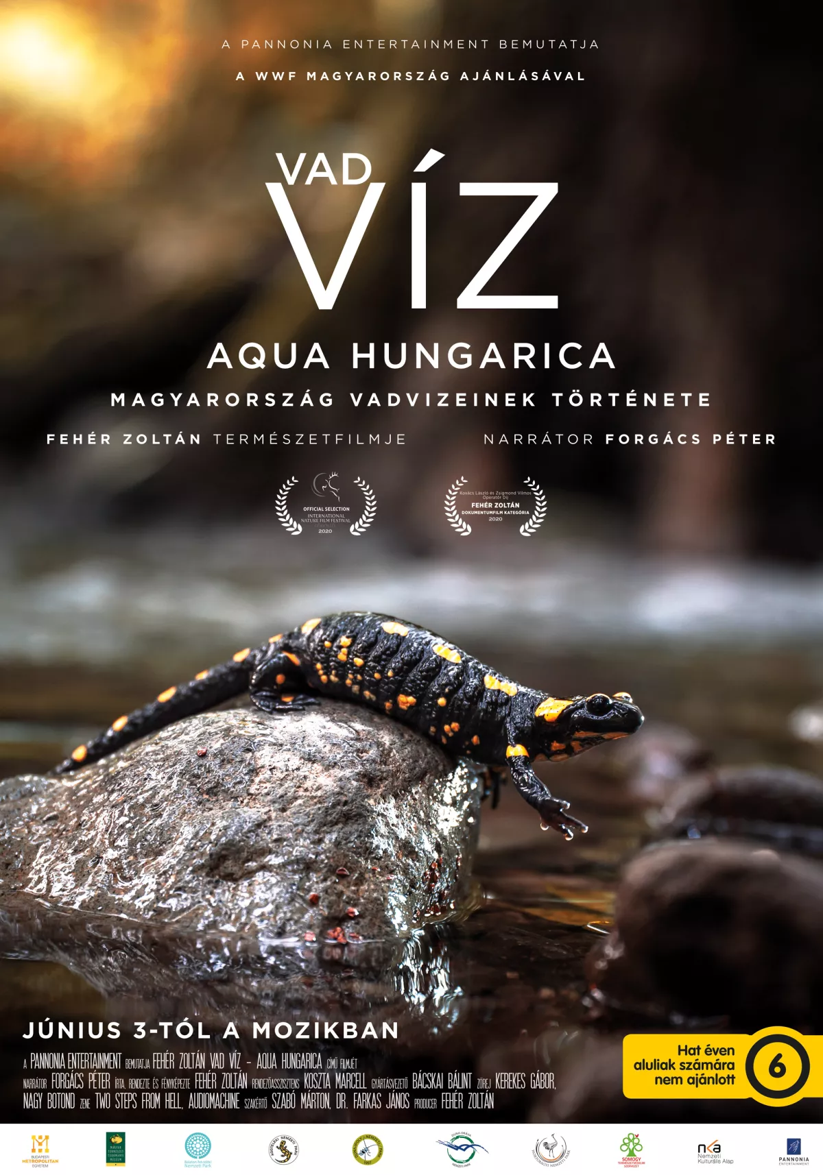 Film: Vad víz - Aqua Hungarica | ARTMozi.hu
